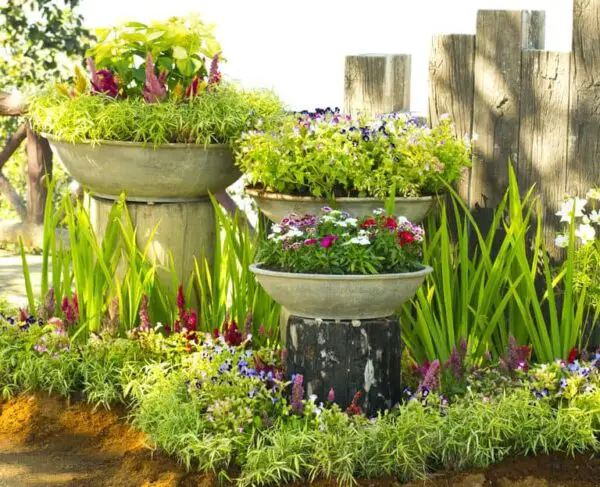 Design a Container Garden to Create Curb Appeal (Updated) - Wraxly