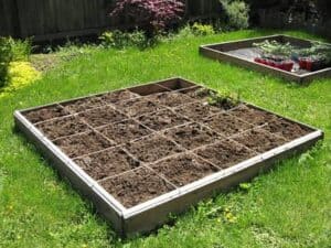 Building A Raised Garden (The Ultimate Guide) - Wraxly