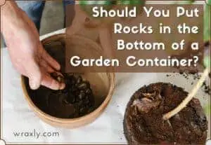 Should You Put Rocks in the Bottom of a Garden Container? - Wraxly